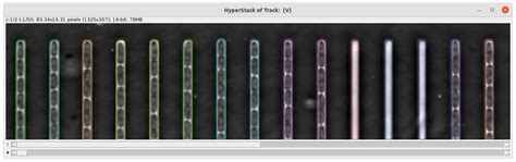 Project 2C Bioinformatics And Computational Approaches In Microbiology