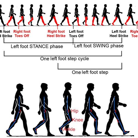 Temporal Gait Parameters Stride Cycle Time For Both Legs In The