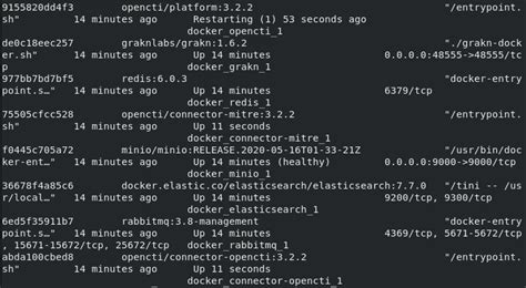 Docker Fail To Start OpenCTI API Issue OpenCTI Platform Opencti GitHub