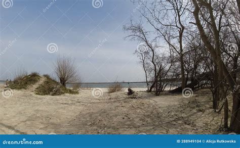 Winouj Cie Harbour Canal Dune Dune Vegetation Sand Nature Spring