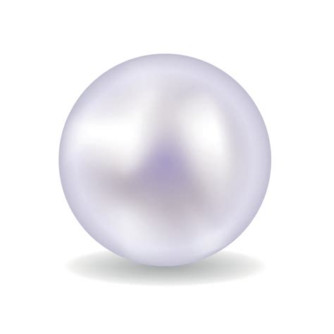 Pearl Vector Illustration 8113772 Vector Art At Vecteezy