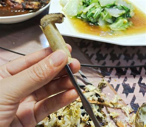 溱湖簖蟹，你值得一品 知乎