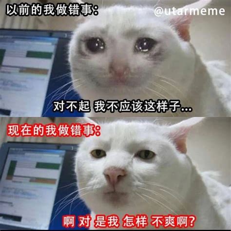 你是亚里士多德的妹妹珍妮玛士多嘛