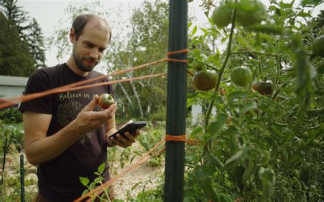 Participate In Variety Trials