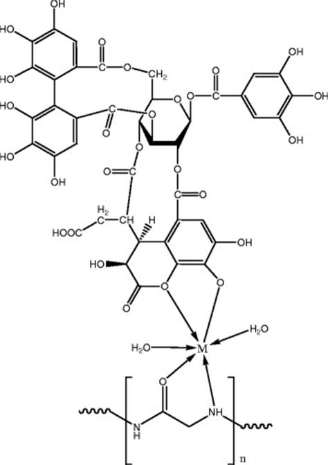 Complex Formation Between Chebulagic Acid Metal Ion And Functional