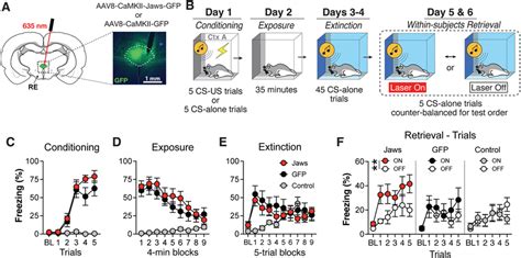 Optogenetic Inactivation Of The Re Selectively Impairs Extinction