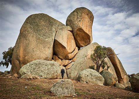 Tim Gray Orchestra Victoria