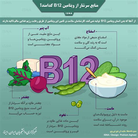 اینفوگرافیک منابع سرشار از ویتامین B۱۲ کدامند؟ ایسنا