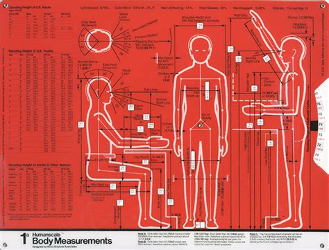 What Is Ergonomics Ergonomics In The Workplace Humanscale