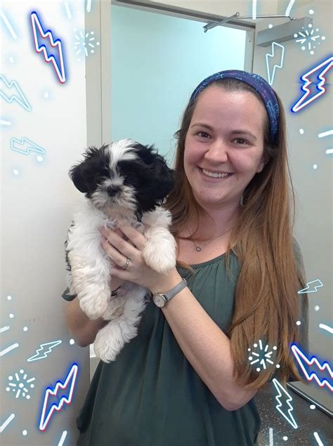 New Veterinarians Are Dunedin Animal Medical Center