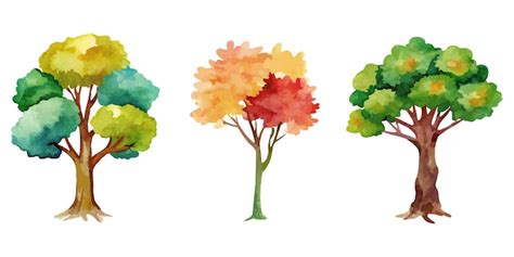 Premium Vector A Series Of Three Trees With Colorful Leaves Premium Vector A Series Of Three Trees With Colorful Leaves