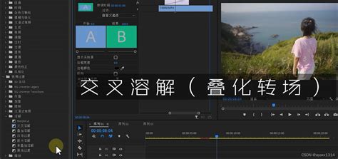 梅科尔工作室 Pr第三次培训笔记（效果与转场及插件使用）插件效果笔记 Csdn博客