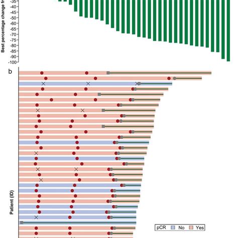 Clinical And Pathological Response To Neoadjuvant Camrelizumab Plus