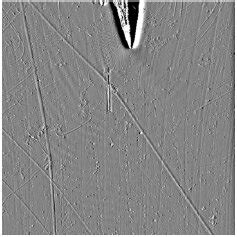 2D Flattened Images AFM Deflection Error Signal Representing Three