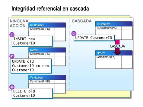 Ppt Implementación De La Integridad De Datos Powerpoint Presentation