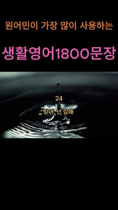 Talk Easy 짧고 쉬운 실생활영어1100문장｜기초생활영어｜수면영어｜생활영어｜기초영어｜영어말하기｜기초영어회화｜영어듣기｜영어공부｜영어발음｜영어문장｜ 영어회화 ｜영어회화