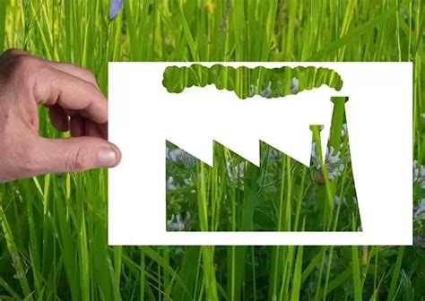 Mitigate Greenwashing Risk With Internal Audit Says Gartner United