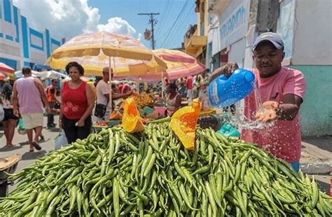 Origens históricas da população do Nordeste de Amaralina Uma conexão o Recôncavo Baiano O