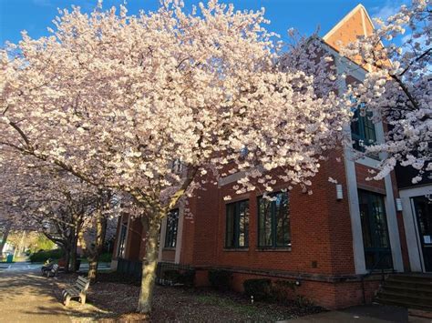 Noelle Mazurek On Linkedin Gamedev Gamedesign