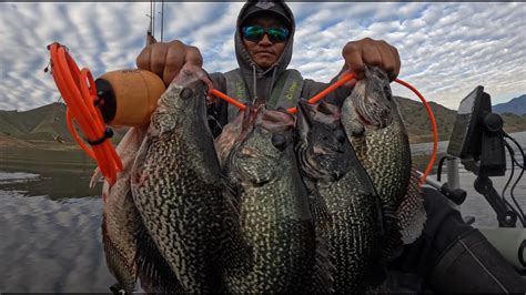 Tough Winter Time Crappie Fishing Youtube