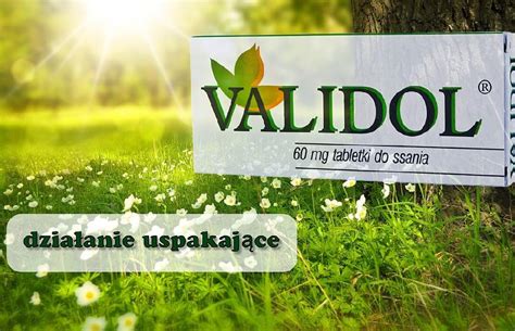 Jakie Działanie Ma Validol Poland Ukraine