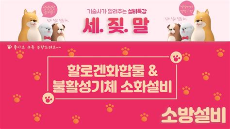 가스계 할론소화설비 할로겐화합물 및 불활성기체 소화설비 기초 Youtube