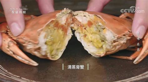 《寻味东莞》纪录片登陆央视，展现东莞版“深夜食堂”！美食