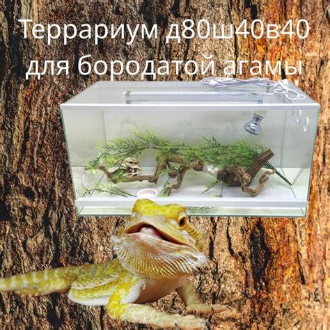 Террариум для Ящерицы купить на OZON по низкой цене