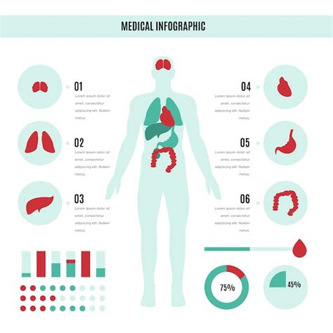 Medische Infographic Van Menselijk Lichaam Met Tekstvak Gratis Vector