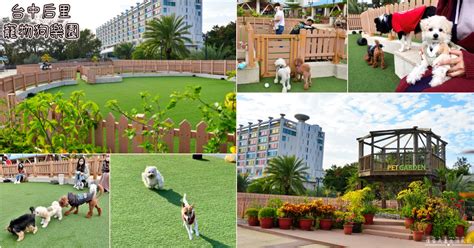 【台中后里。景點】『寵物狗樂園pet Garden』毛爸媽開心血拼、毛小孩瘋狂玩樂！麗寶outlet的寵物樂園！ 傻蛋夫妻生活札記
