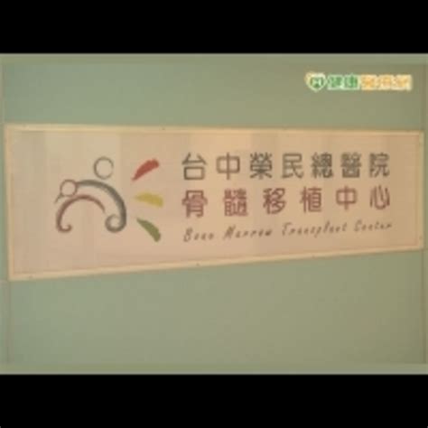 半相合骨髓移植 血癌治療新趨勢 Enews新聞網