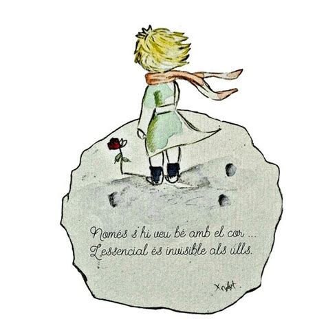 Frases en català Frases boniques El petit princep XniArt English Fun