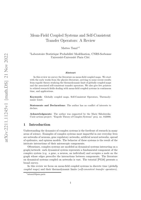 pdf mean field coupled systems and self consistent transfer operators