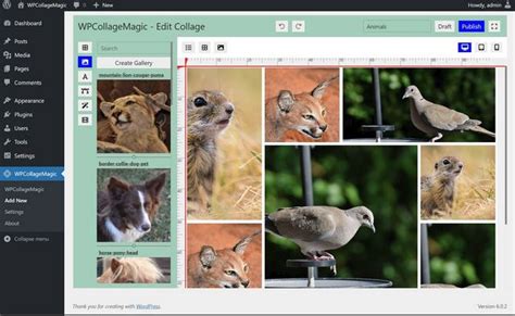 Wpcollagemagic Photo Collage Plugin For Wordpress Wp Solver
