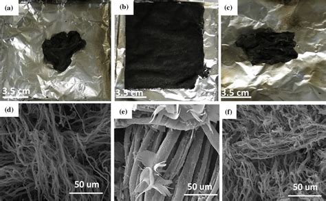 Digital Images And Sem Micrographs Of Char Residue After Cct A D