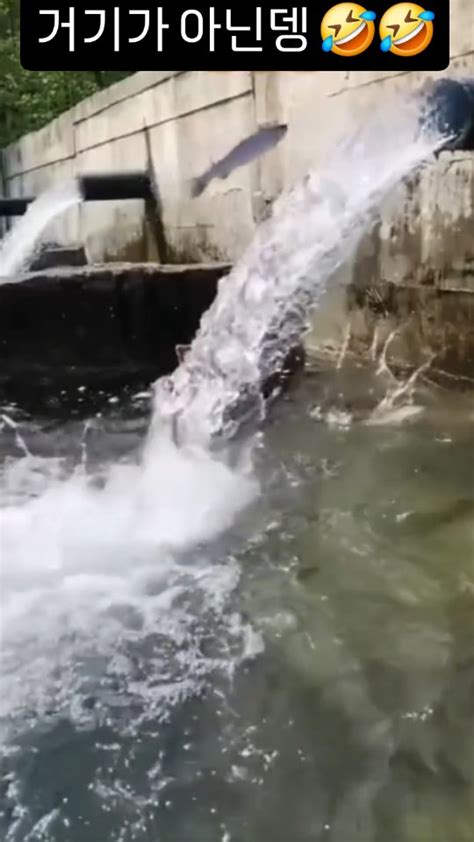 김탁 살인마가 불쌍해~ 재미있는 웃긴 유머 병맛 ㅋㅋㅋ 호러 살인마 공포 Instagram