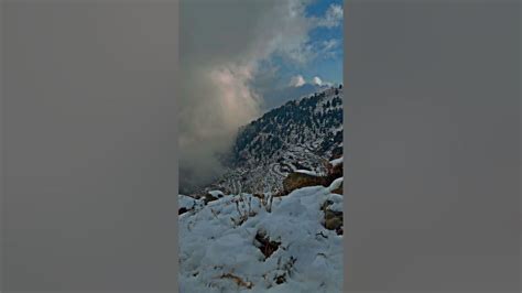 Php Coding Howtolearncodingforbeginners Programming Youtube