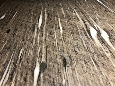 Gsa Structural Geology And Tectonics Division Home Facebook