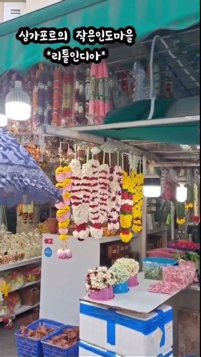 싱가포르 인도거리관광 Youtube