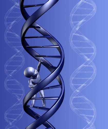 Real Life Applications Heredity Population Genetics Genetic