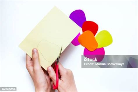 색깔종이로 집에서 꽃을 만드는 방법 손은 종이에서 화려한 꽃을 합니다 3단계 꽃잎을 잘라 가위로 어린이 Diy 예술 프로젝트 단계 별 지침 꽃 가위에 대한 스톡 사진 및