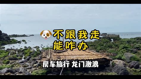 带着狗子旅行日常想揍她 Youtube