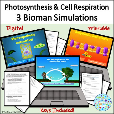 Cell Energy Photosynthesis And Respiration Made By Teachers