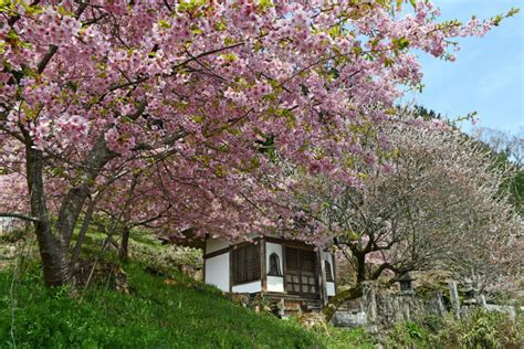 化生寺 玉雲宮勝山久世の観光スポット真庭観光WEB