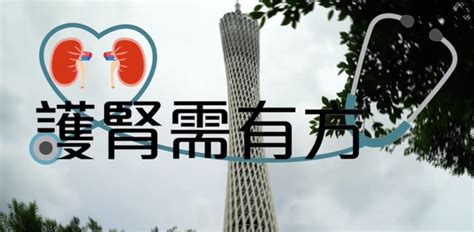 肾病大科普 你的肾还好吗？ 知乎