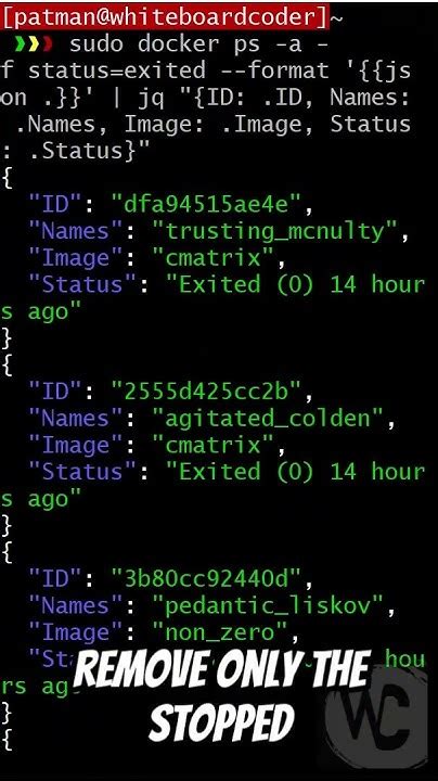 Docker Prune Coding Docker Dockertutorial Linux Youtube
