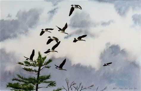 James Drake Iams Flying Geese 1984 Mutualart