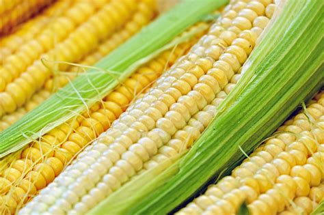 Corn Nutrition Facts And Health Benefits Nutrition And Innovation