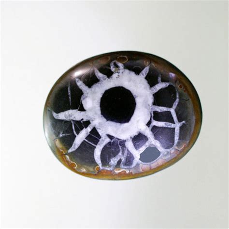 Fossilized Mud Cracks