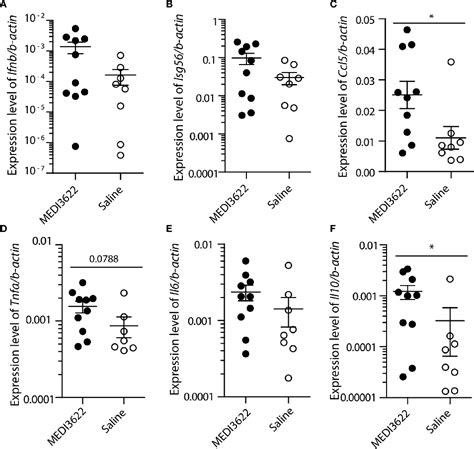 Figure 3 From An Adam17 Neutralizing Antibody Reduces Inflammation And